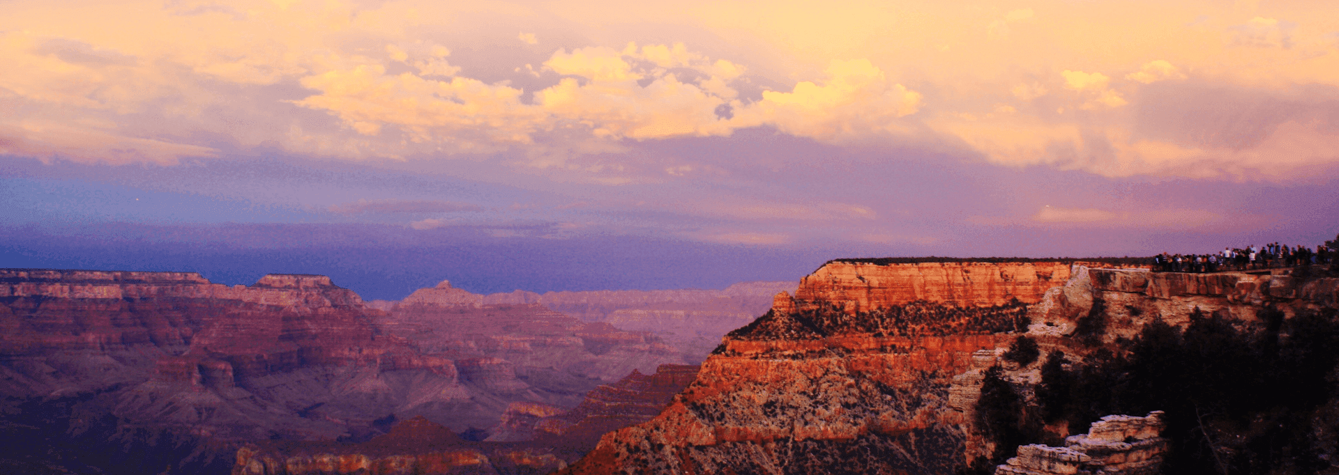 ANVR, de vereniging voor alle ondernemers in reizen | ANVR