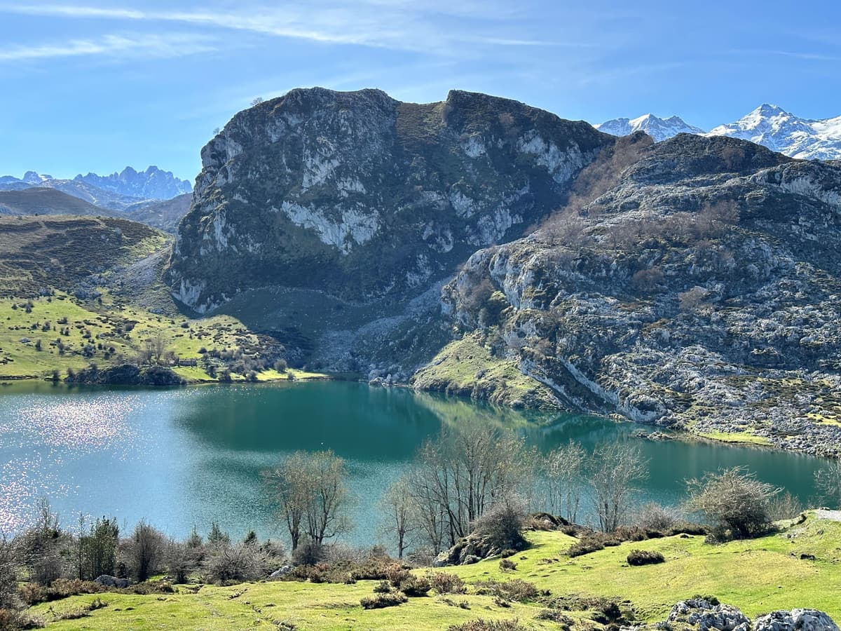 ANVR, de vereniging voor alle ondernemers in reizen | ANVR